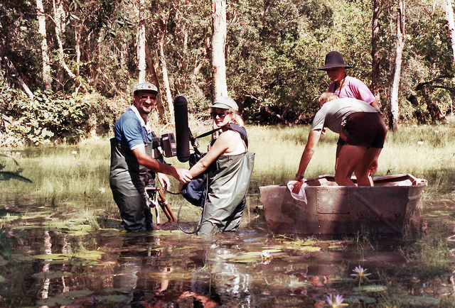 Mimosa pigra weed control - RaeAllen.net